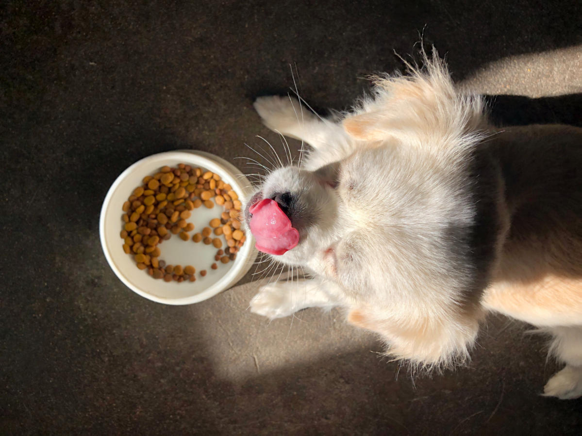 bilacon | Laboranalysen & Beratung