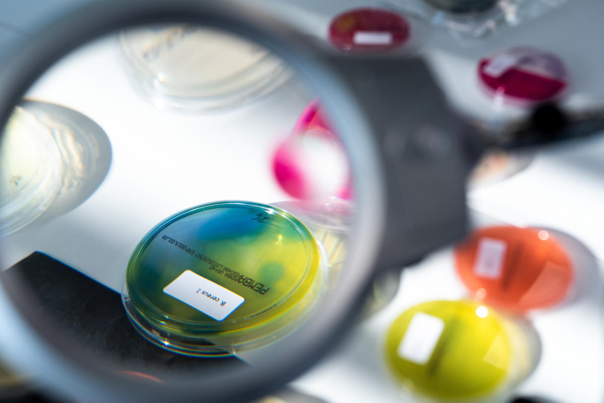 Mikrobiologie | bilacon