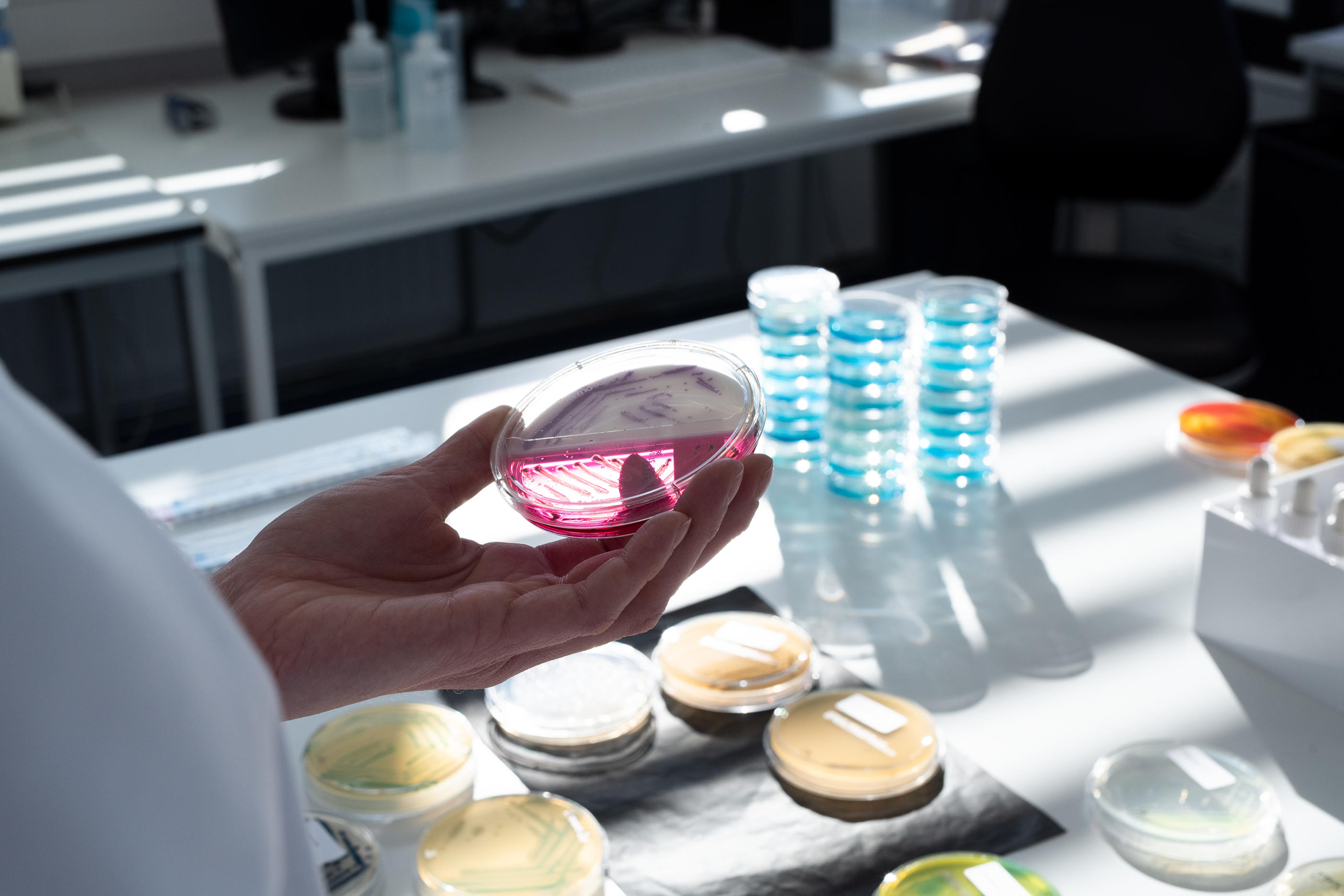 Analyse von Lebensmitteln | bilacon