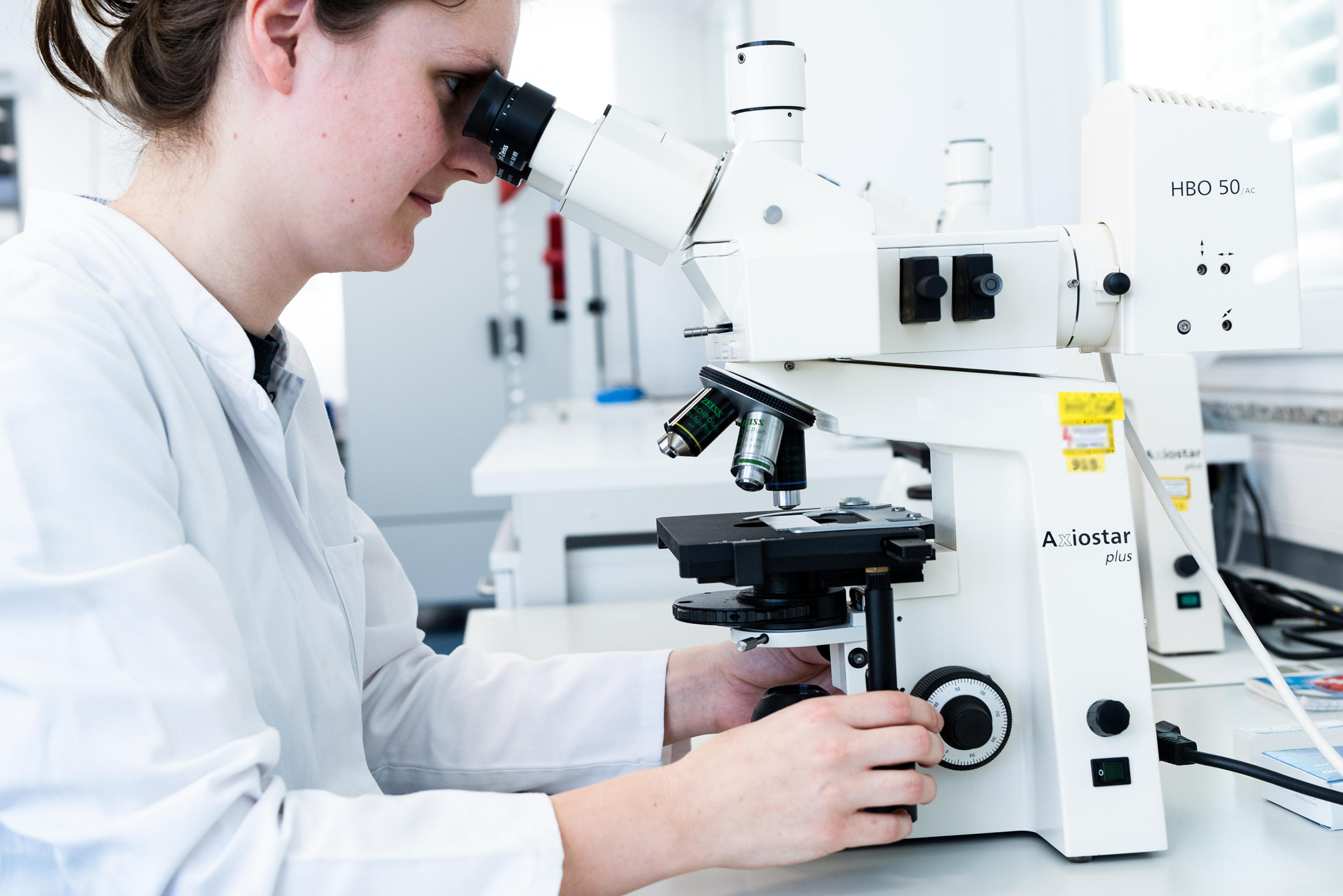 News & Updates | bilacon