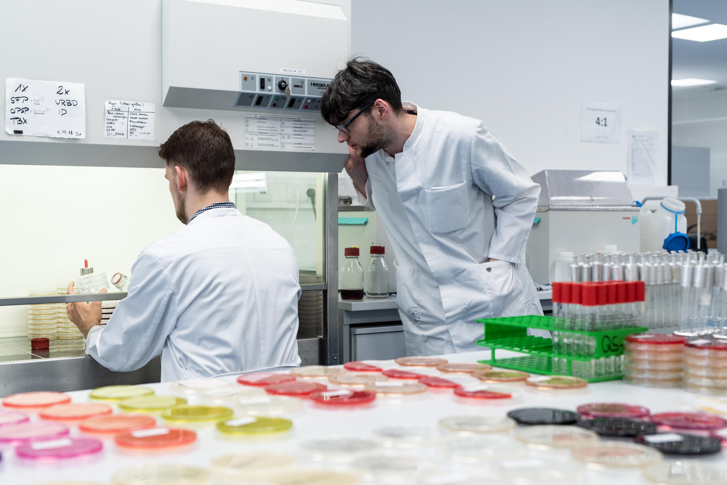 Salmonellen, L. monocytogenes und STEC/VTEC-Nachweis innerhalb von 24h ...